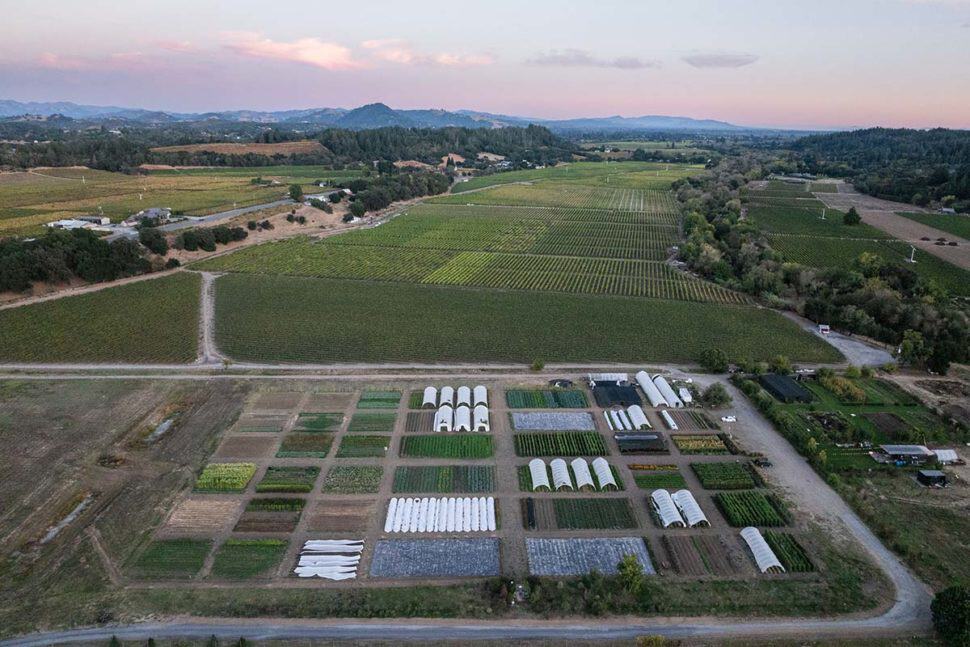 SingleThread Farm & Restaurant: Where Farming Meets Fine Dining ...