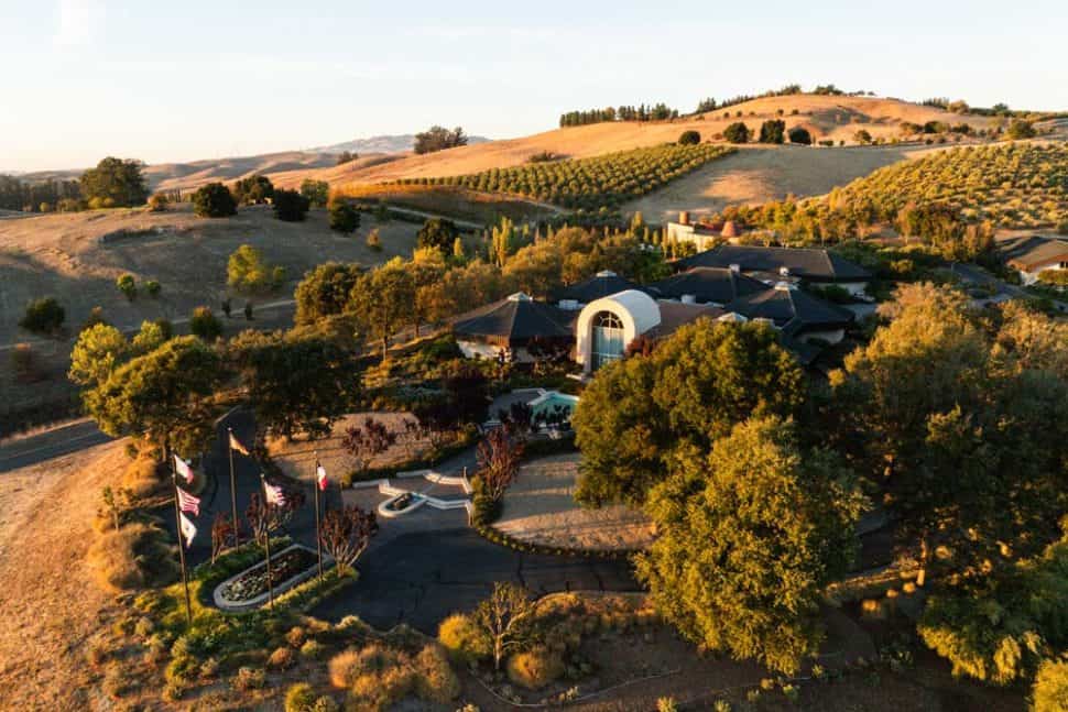 Keller Estate Is A Hidden Gem in the Petaluma Gap - California Grown