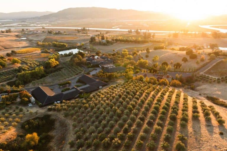 Keller Estate Is A Hidden Gem in the Petaluma Gap - California Grown