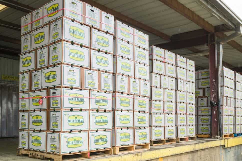 The Talley Box: Talley Farms Fresh Produce at Your Door - California Grown