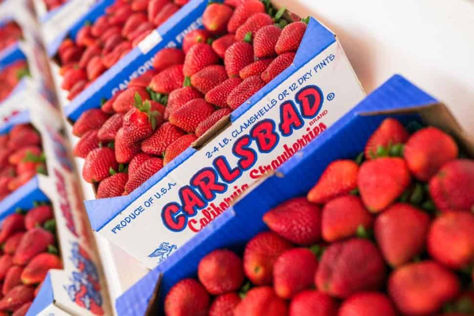 Carlsbad Strawberry Company: Farming, Family and Fun - California Grown