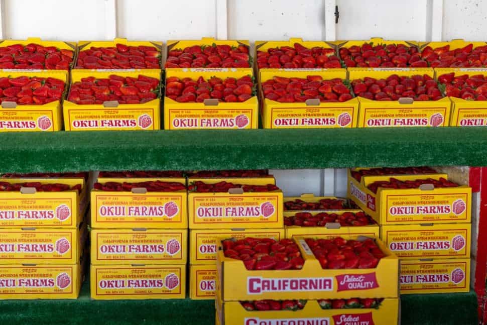 Don’t Miss Okui’s Strawberry n Fruit Stand in Grover Beach - California ...