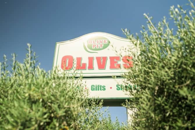 Get a Taste of Tehama County at the Olive Pit - California Grown