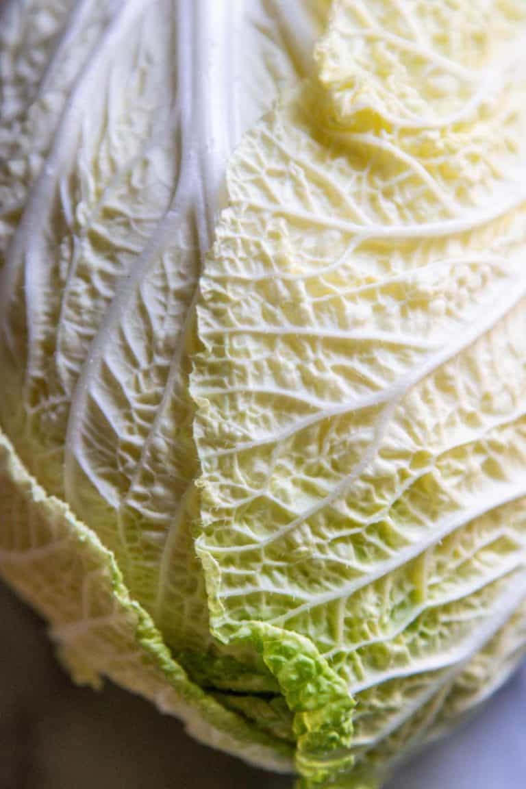 An Easy Napa Cabbage Slaw Recipe - California Grown