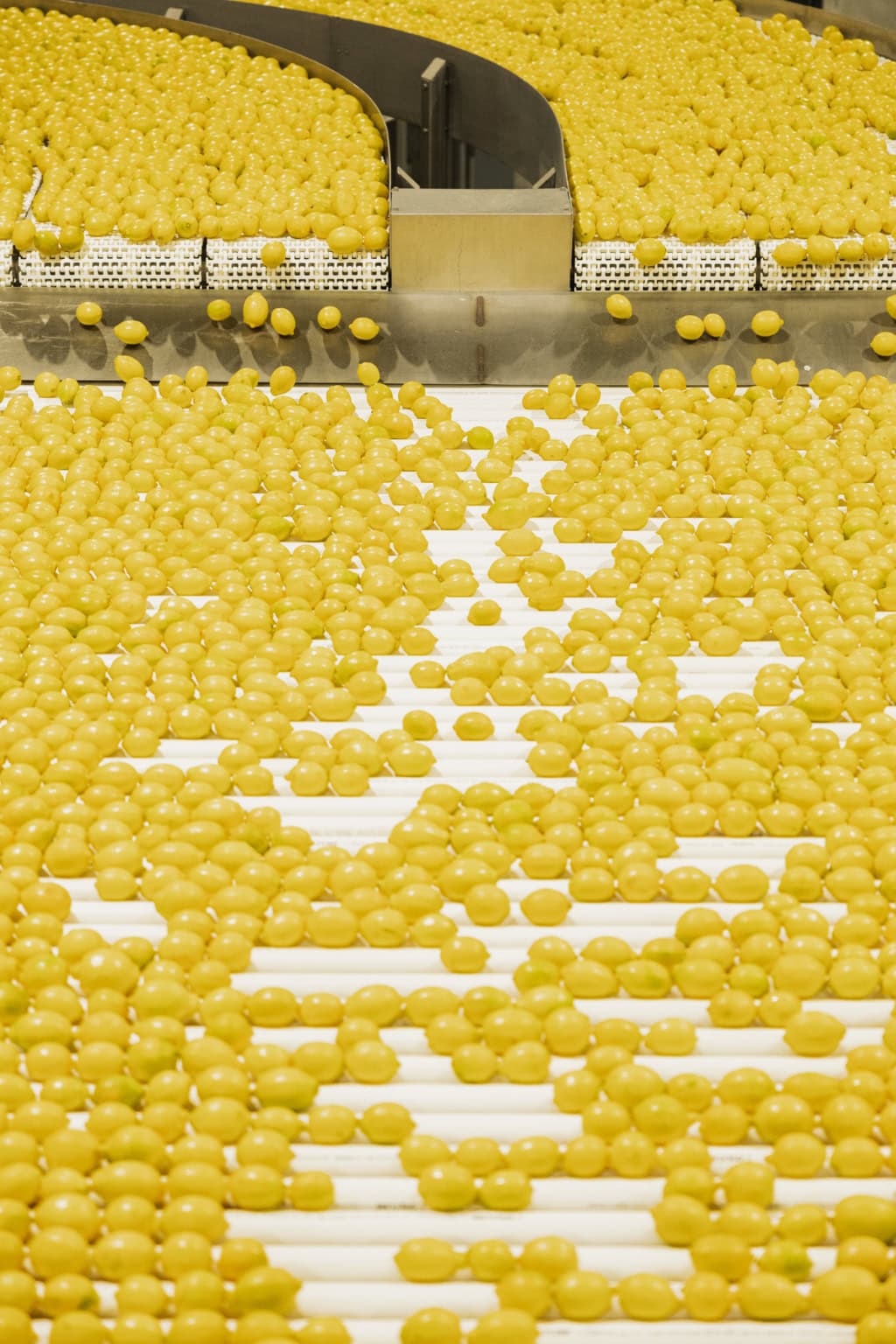 Kings River Packing: Eight Generations of California Citrus
