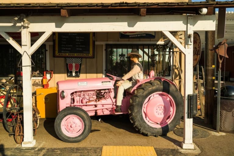 Simonian Farms: Bringing Fresno Agricultural History to Life - California Grown