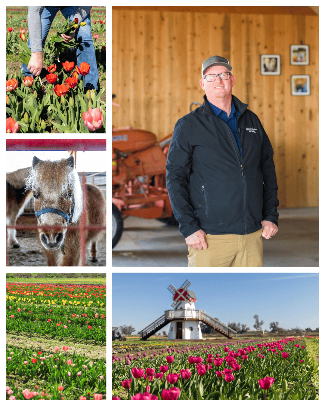 Explore Dutch Hollow Farms for U-Pick Flowers, Pumpkins and Seasonal Fun